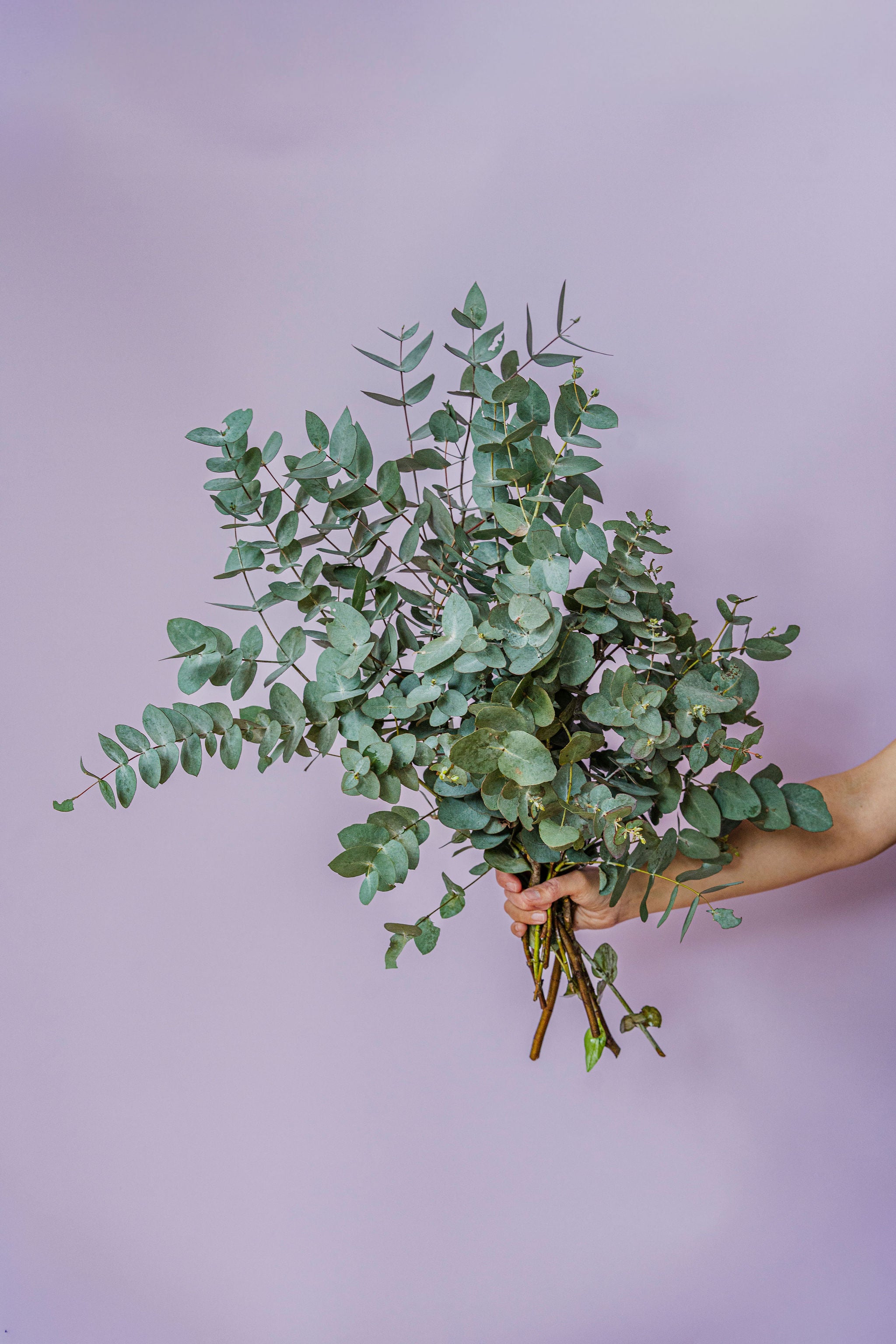 Gum – Confetti Blooms